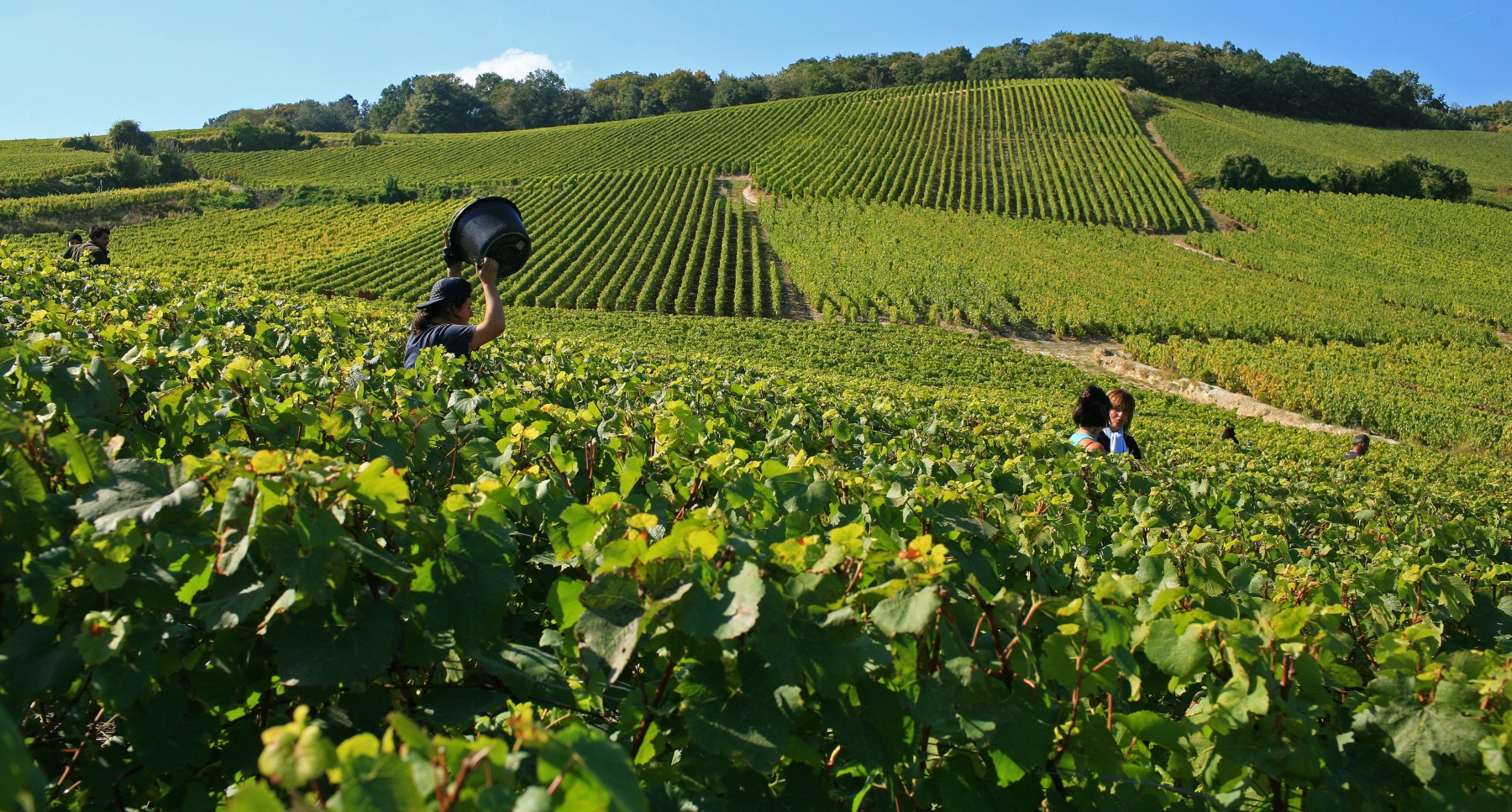 Route Touristique du Champagne | CARnWAY